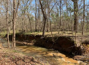 Gallery | Tarrant Ranch